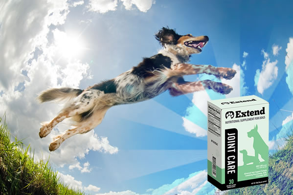 Extend Pets - Dog Joint Care